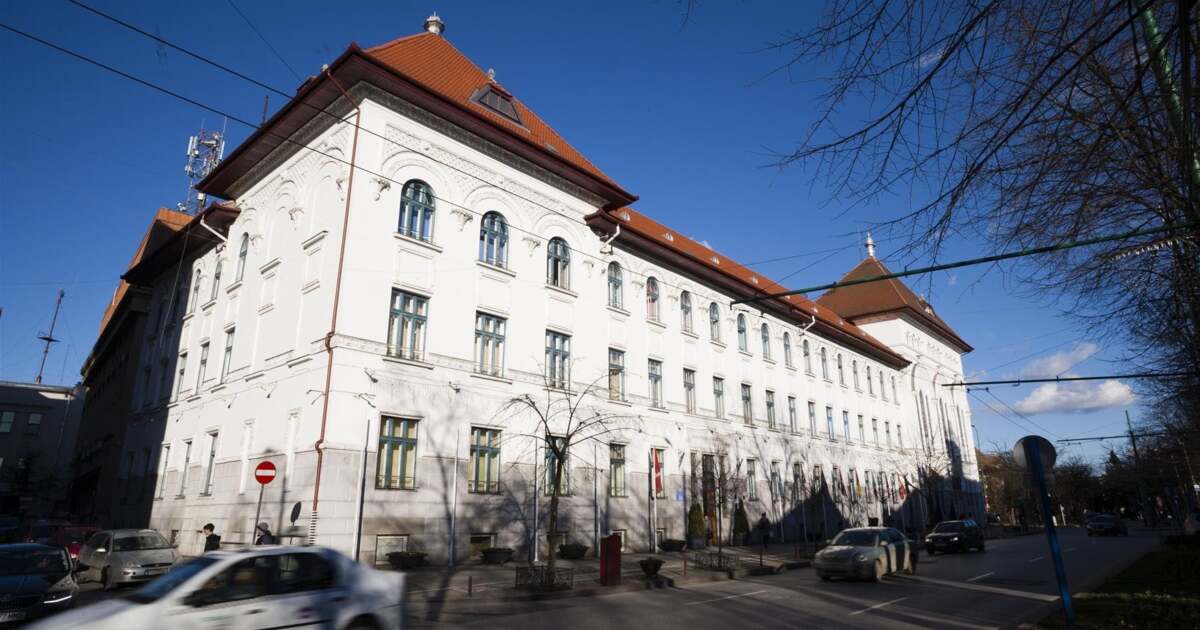 Primaria Timisoara vrea sa dea 160.000 de euro unei firme care sa faca ...