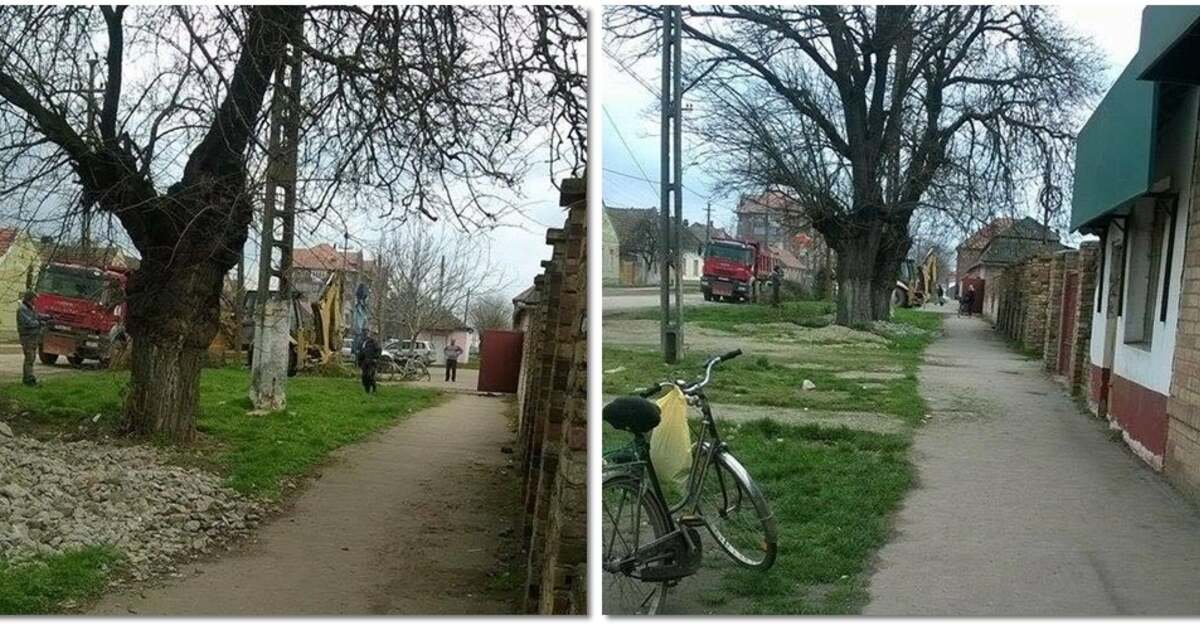 Bataie in plina strada la Jimbolia. Motivul: poze cu utilajele ...