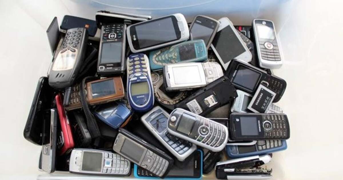 Concurs de Aruncat cu Telefonul Mobil la Padurea Verde din Timisoara - Tion
