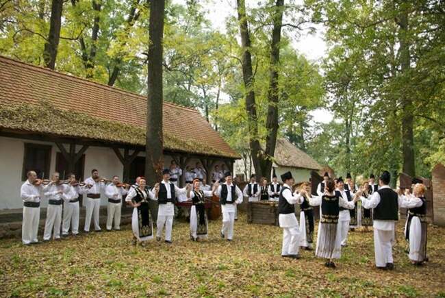 Nicu Novac – 35 de ani pe scena. Spectacol extraordinar la Timisoara - Tion