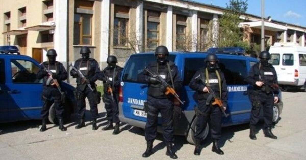 Exercitii demonstrative cu fortele antitero si cainii Jandarmeriei, in ...