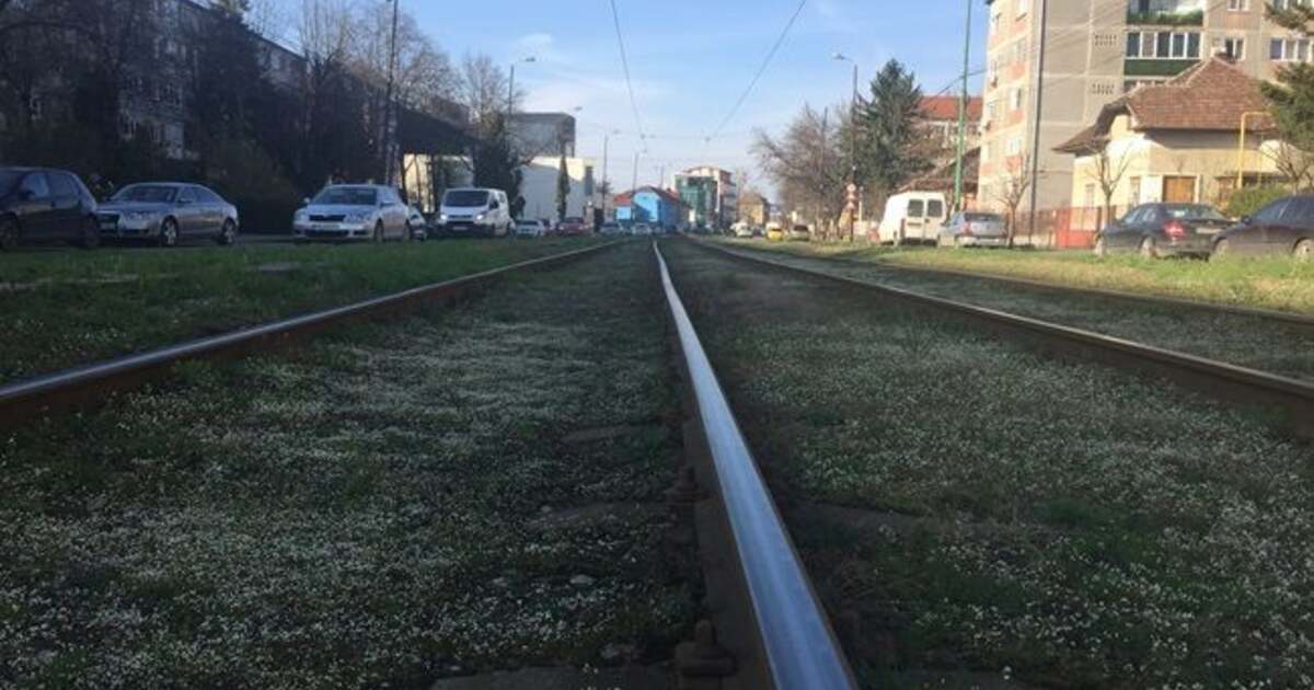 RATT cere subventii de aproape 15 milioane de euro de la Primaria ...