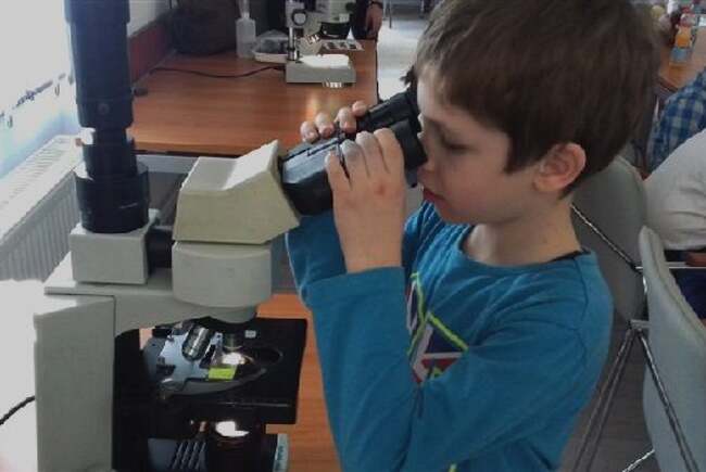 Ziua mondiala a apei, sarbatorita de ABA Banat impreuna cu 200 de elevi ...