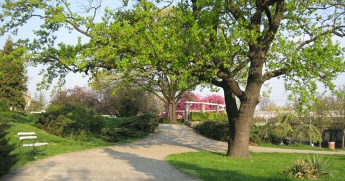 Un parc capodopera peisagistica din Timisoara intra in sfarsit in ...