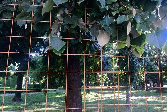 Ramasite din Epoca Bronzului in Parcul Central din Timisoara. S-a facut ...