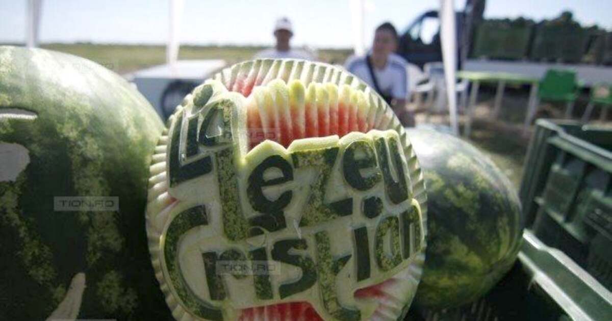 Festivalul Lubenitei, la Gottlob, cu formatia Magazin, spectacol ...