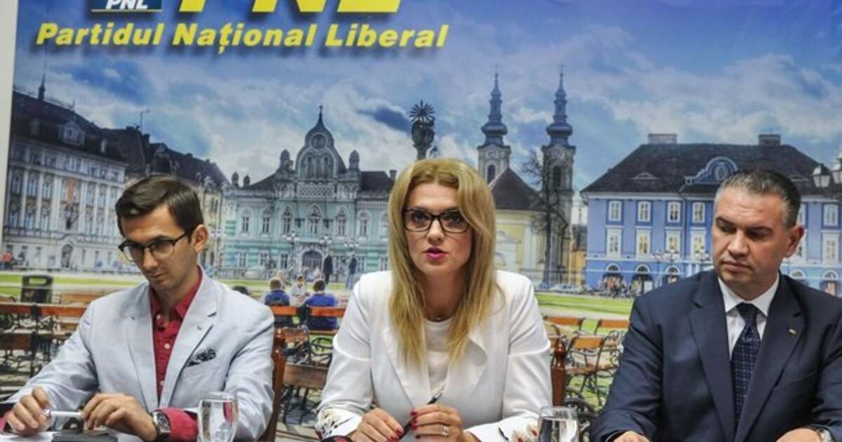 Senator de Timis: PSD merge pe sistemul tortului din care iese ...