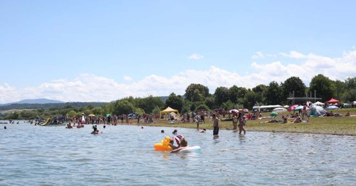 Transport gratuit Timisoara-Surduc, in weekend. Programul Zilelor ...