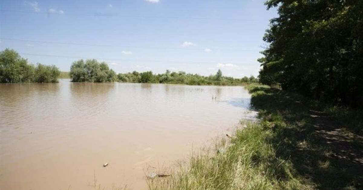 Cod galben de inundație pe râul Timiș - Tion