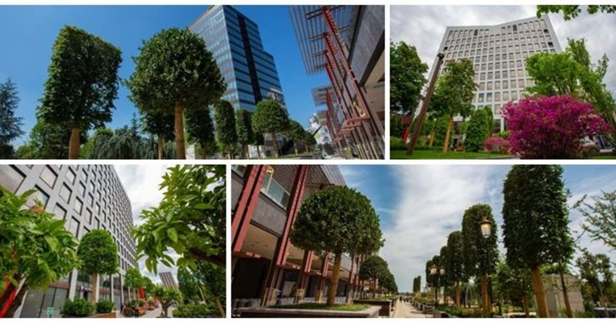 În curând vă veți putea relaxa în cel mai spectaculos parc din oraș ...