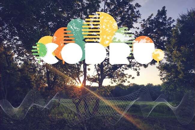 Festivalul Codru, pregătit de o nouă ediție. ADI Pădurea Bistra are ...