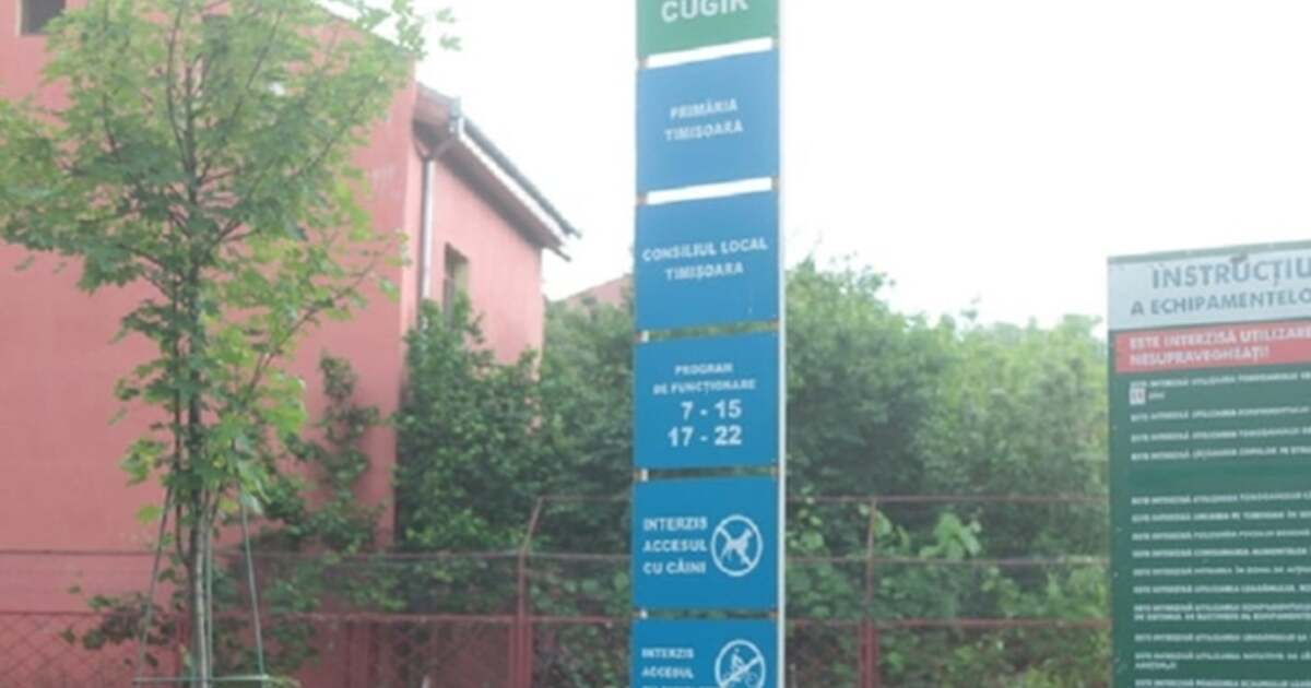 Cai la păscut într-un parc din Timișoara - Tion