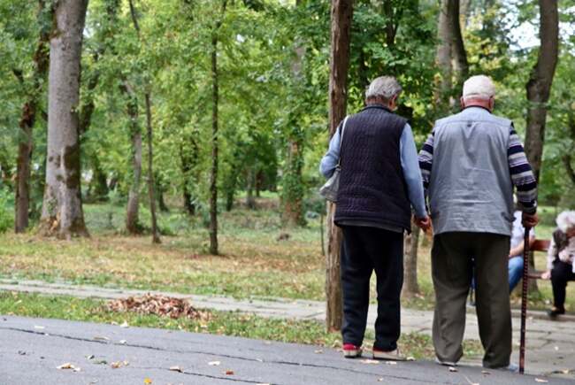 Direcția de Asistență Socială Timișoara caută persoane vârstnice pentru ...