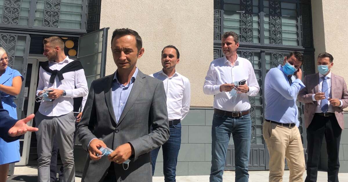 Curățenia lui Alin Nica: Buboi și Bitea nu vor mai fi consilieri ...