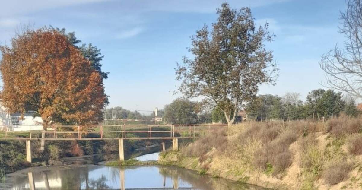 Cod portocaliu pe râul Bârzava, în Timiș - Tion