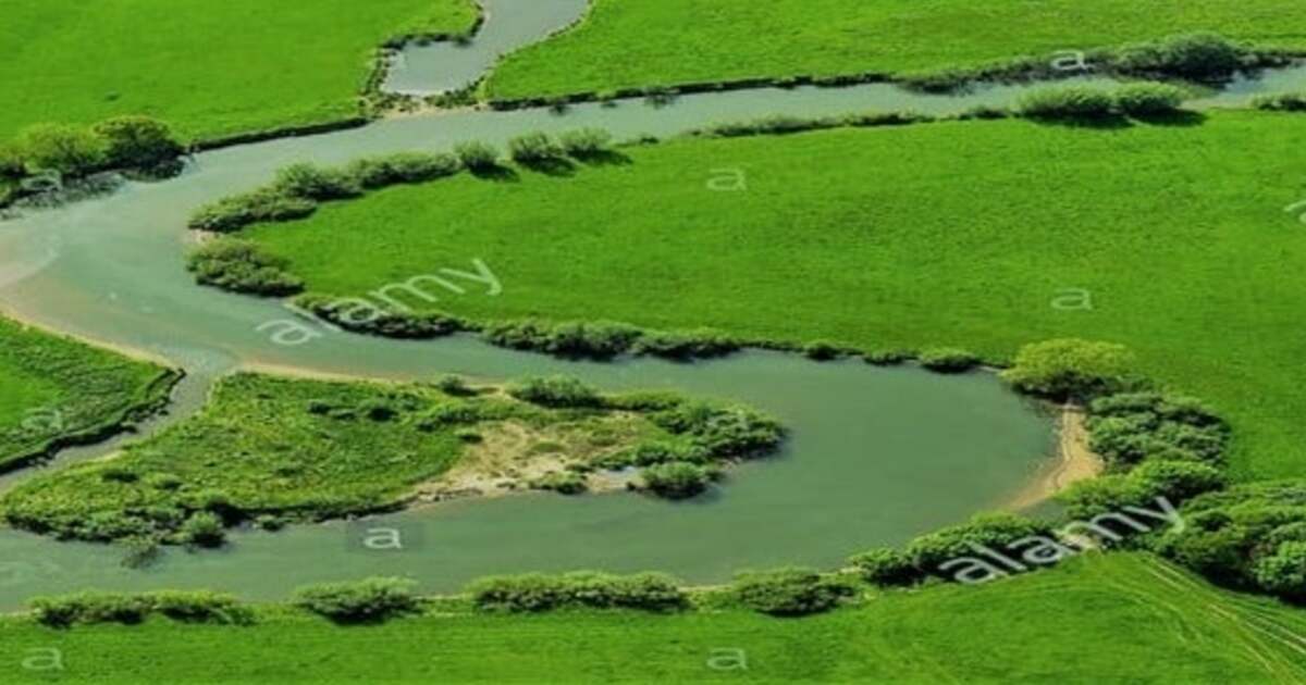 Refacerea ecosistemelor degradate pe râul Bega Veche, cu fonduri ...