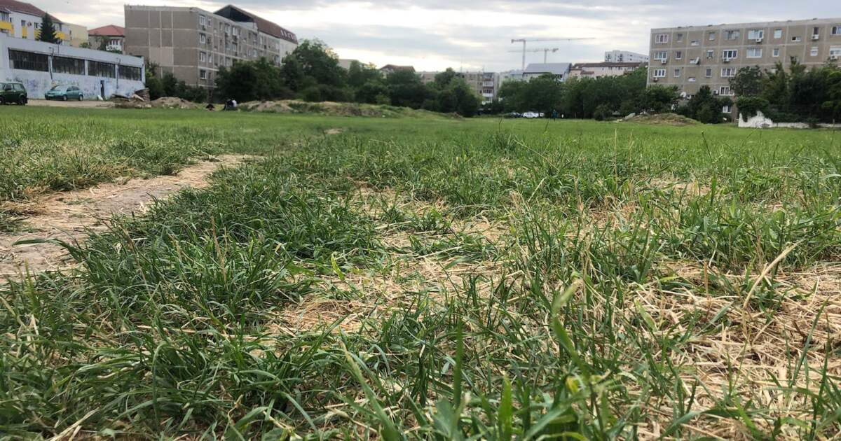 Timișorenii din Bucovina vor parc și bază sportivă pe terenul de 1,5 ha ...