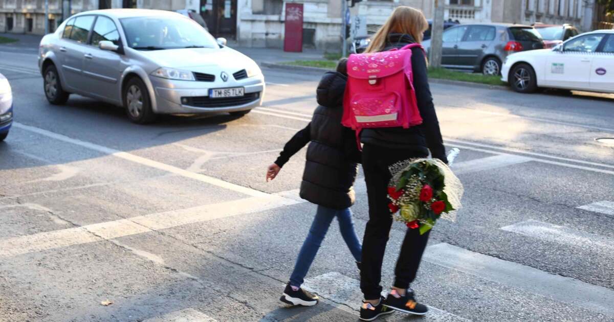 Elevii din Timiș se întorc în bănci luni. Majoritatea școlilor nu vor organiza festivități de ...