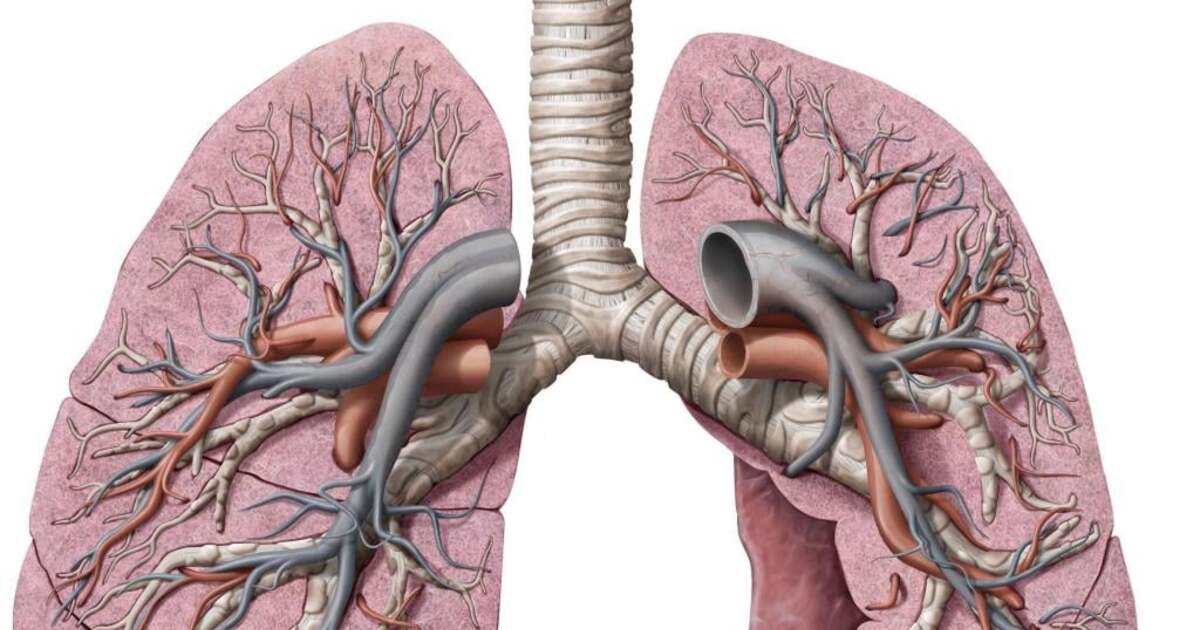 Tusea și ce indică simptomele, explicate de specialiștii de la ,,Victor ...