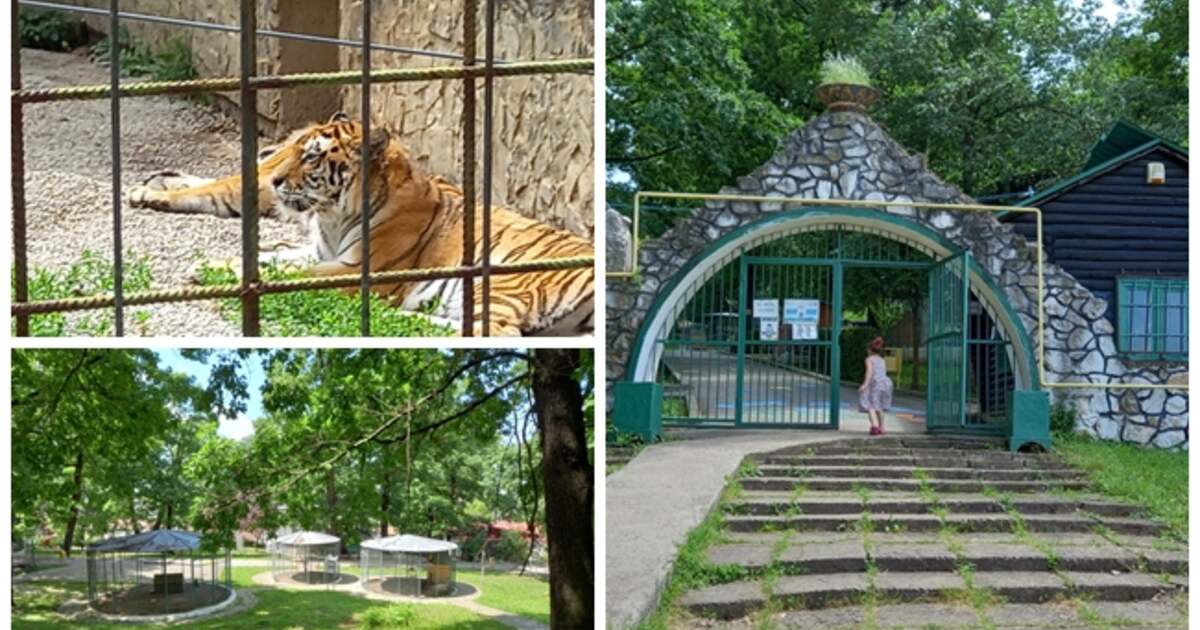 FOTO. Grădina zoologică care are nevoie de mai multă... atenție. Zoo la ...
