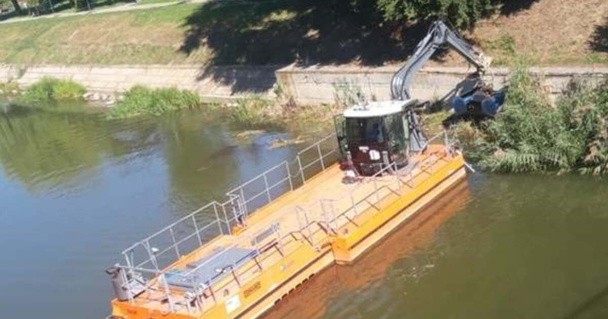 Canalul Bega, curățat de buruieni în această săptămână - Tion