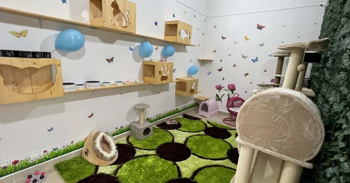 Clinica Genesis - Tion