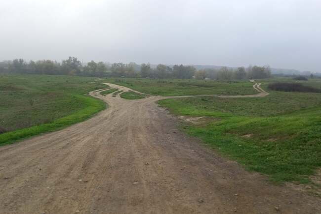 Lunca Timișului CX, în weekend: curse pentru cicliști și alergători ...