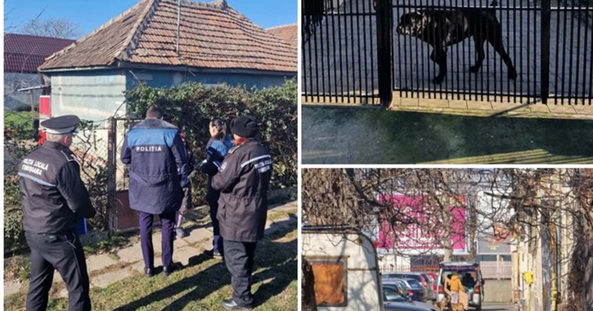 FOTO. Amenzi de peste 11.000 lei pentru proprietarii de câini, în urma ...