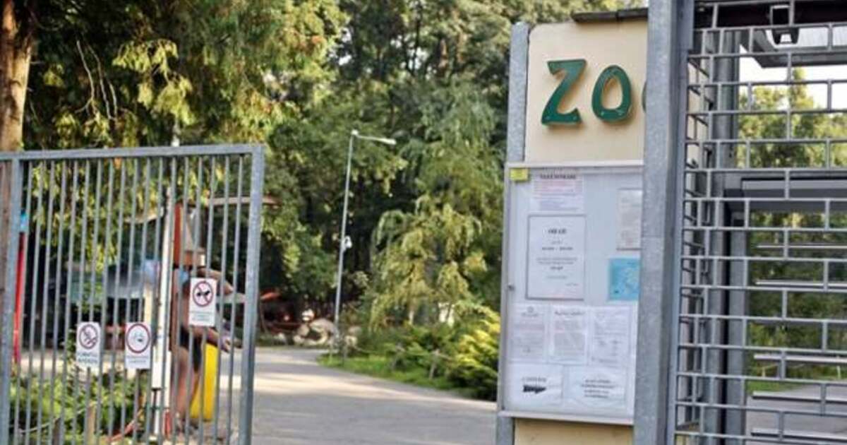 Grădina Zoologică din Timișoara nu se redeschide în 2023 - Tion