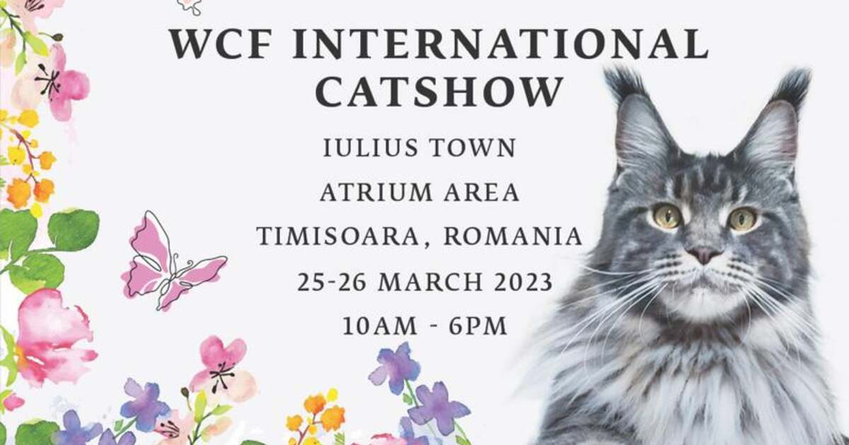 WCF International Cat Show, în weekend, la Iulius Town. Vino să vezi ...