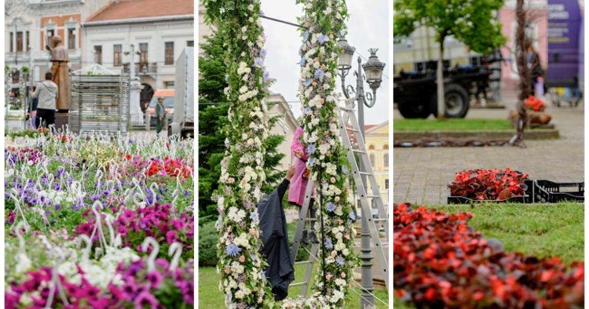 PROGRAM. Festivalul Simfonia Florilor începe vineri la Lugoj - Tion