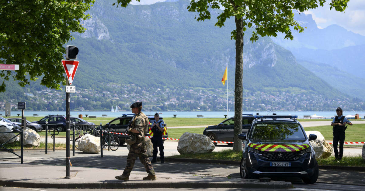 Copii de 2 și 3 ani, înjunghiați într-un parc din Franța. Atacatorul a ...