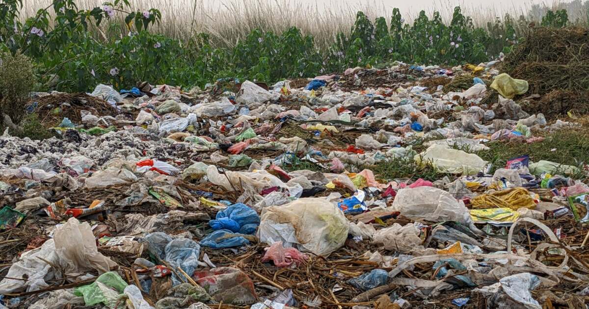 Cadavrul unui nou-născut, descoperit într-o groapă de gunoi din Cluj ...