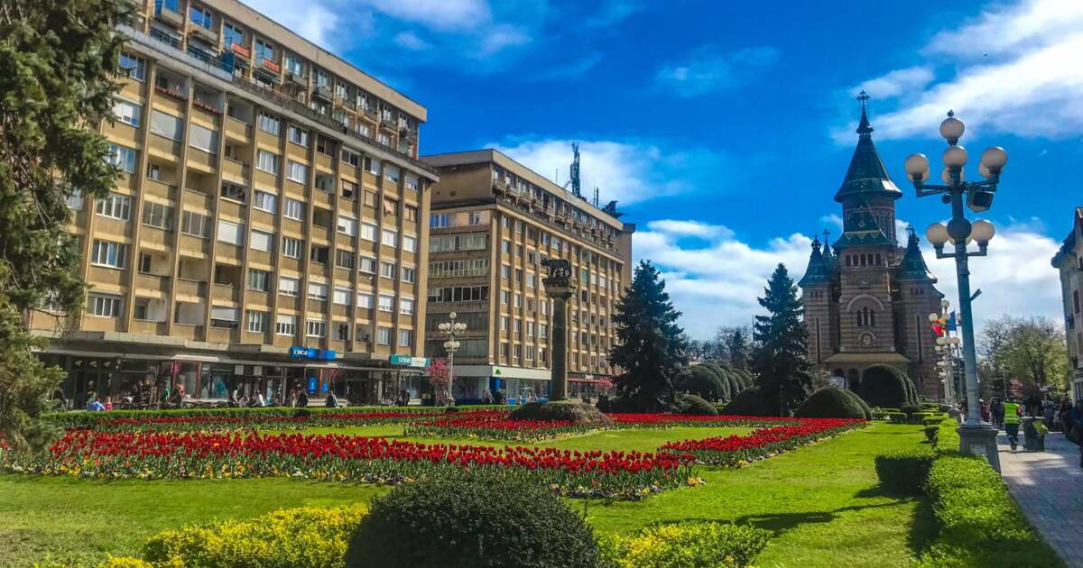 Ce facem astăzi, 8 iulie 2024, în Timișoara? - Tion