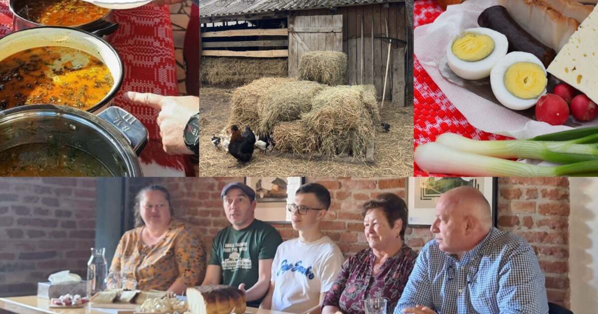 Două noi puncte gastronomice locale, autorizate într-o comună din Timiș ...