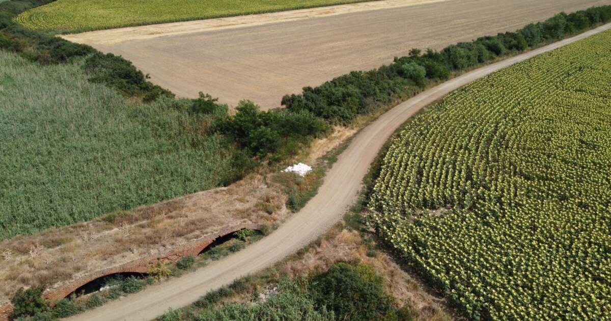 Drumul dintre Parța și Petroman va fi modernizat de Porr Construct ...