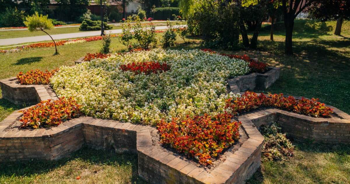 „Spectacol de grație și culoare" în Parcul Botanic. Peste 40.000 de ...