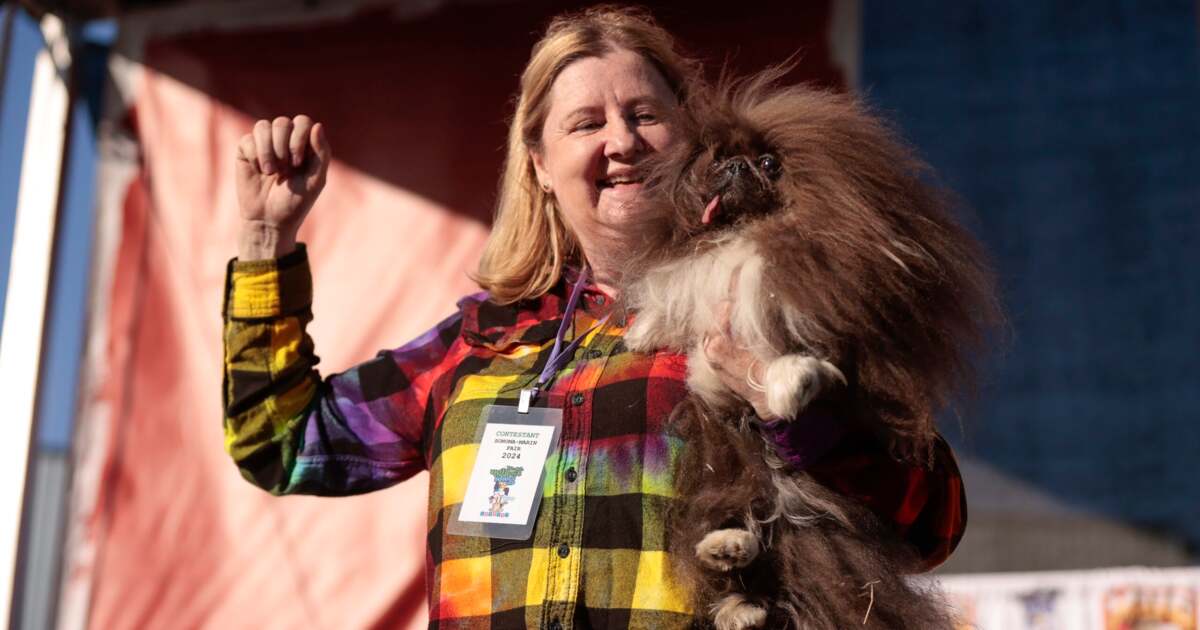 Un pechinez a fost declarat „cel mai urât câine din lume” în 2024 - Tion