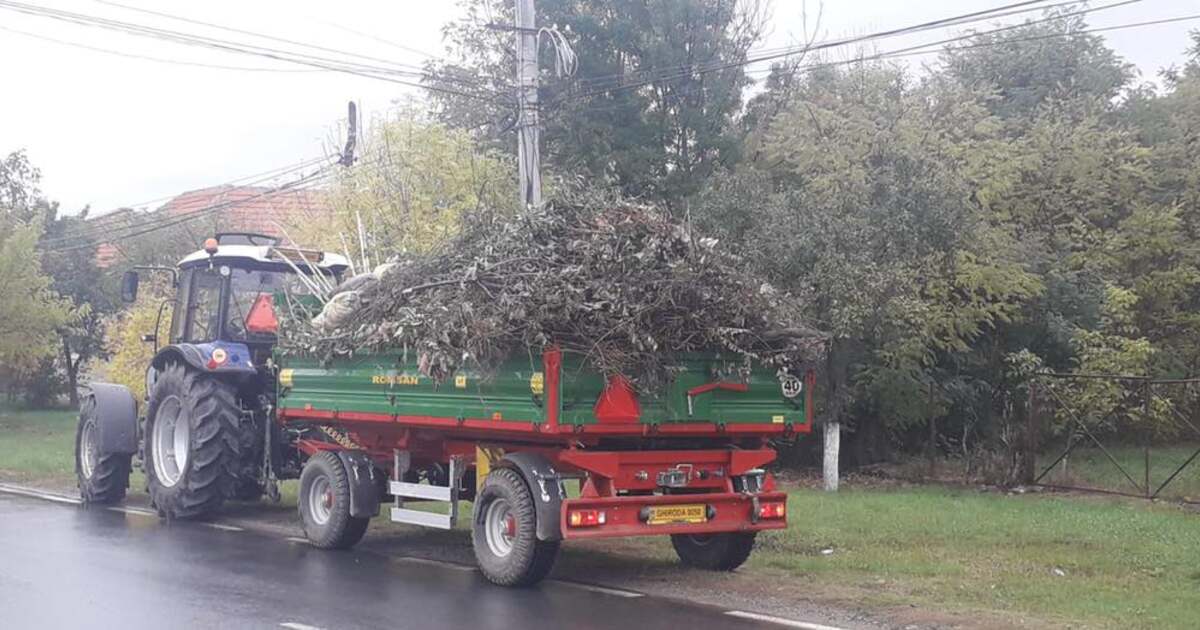 Comuna Ghiroda are serviciu de colectare a deșeurilor vegetale - Tion