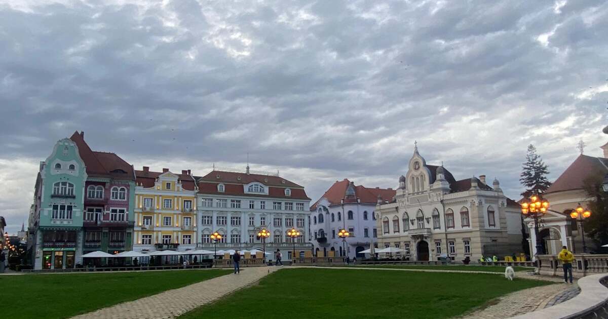 Ce facem astăzi, 2 noiembrie 2024, în Timișoara? - Tion