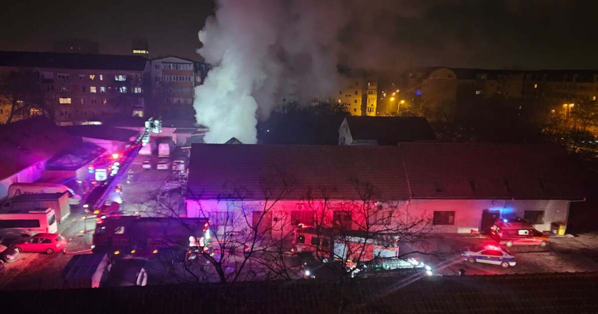 VIDEO. Incendiu de amploare în Calea Girocului. Flăcările au distrus o ...