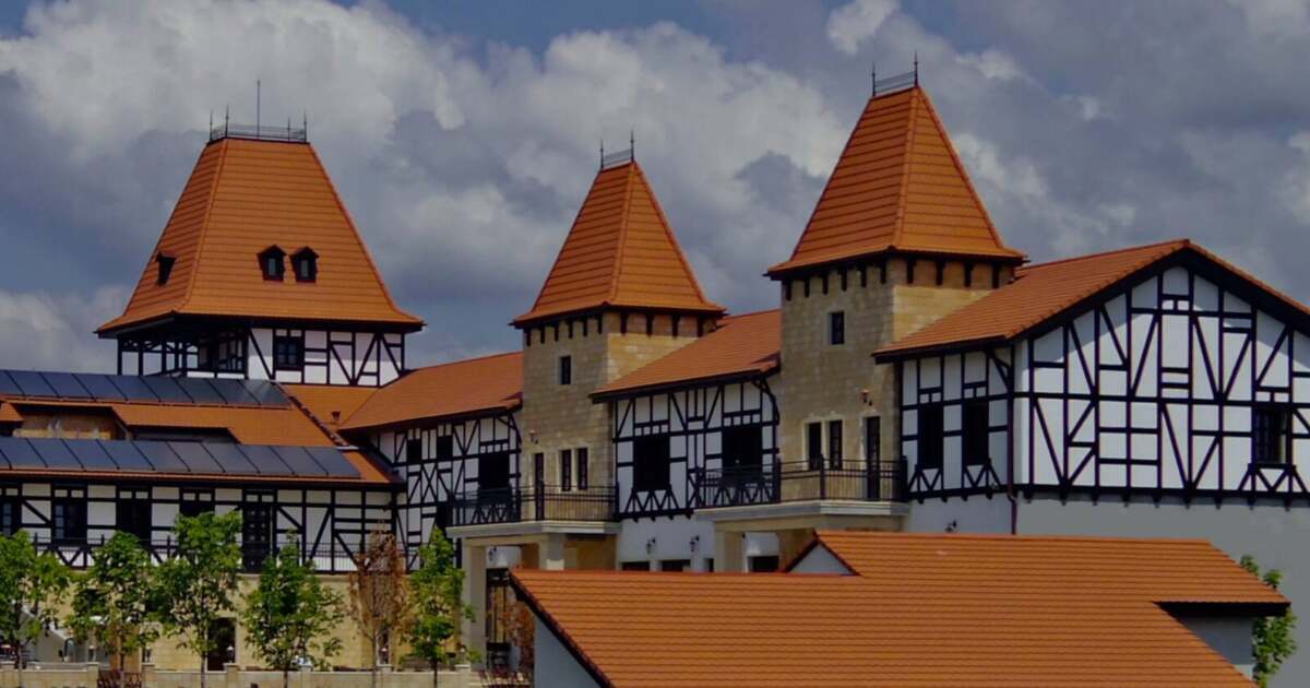 Spitalul Județean din Timișoara a preluat Castelul Royal printr-o ...