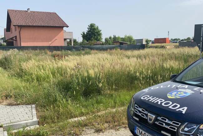 Locuitorii comunei Ghiroda care nu-și întrețin terenurile riscă amenzi ...