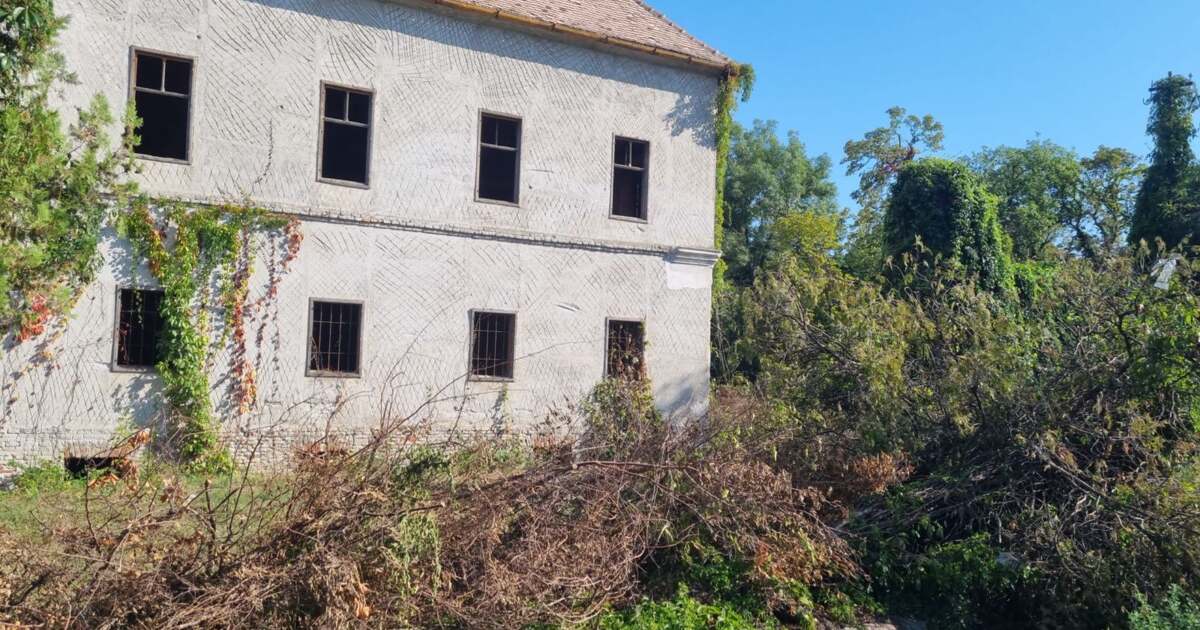 FOTO. Furtuna a făcut stricăciuni mari la Castelul Banloc. Măsurile ...