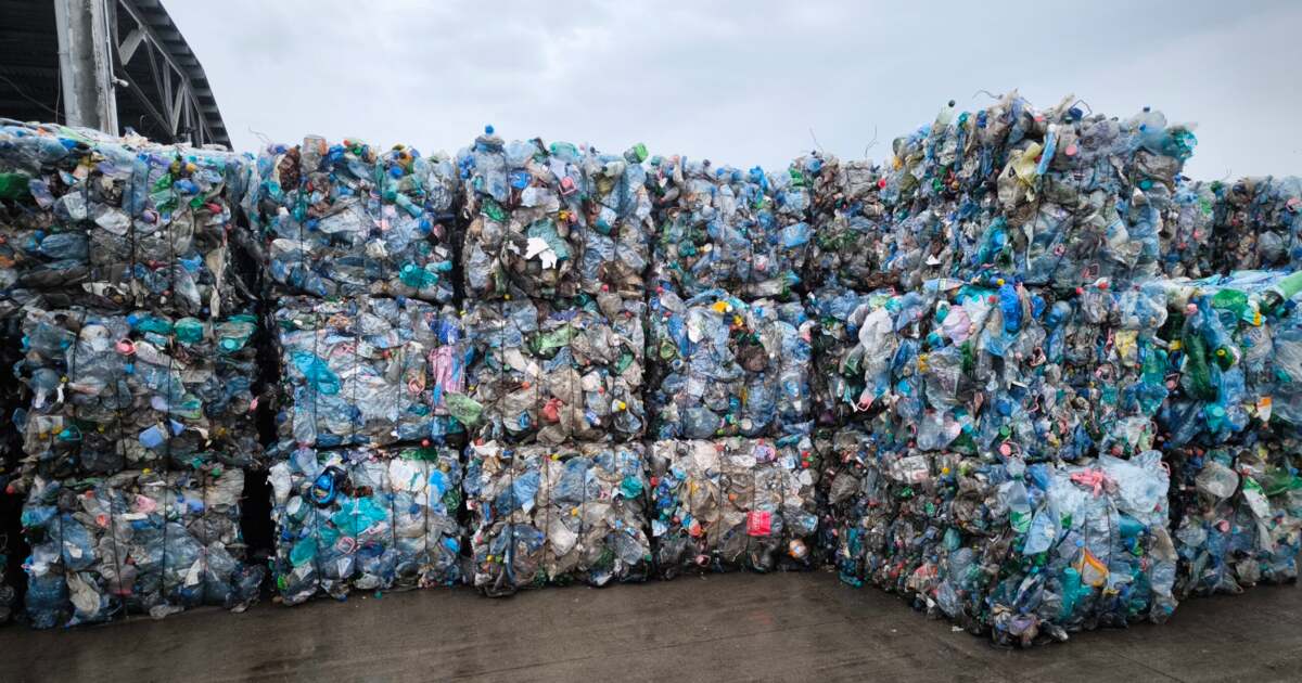 ECO Serv Timiș își extinde activitatea. În ce noi domenii va putea ...