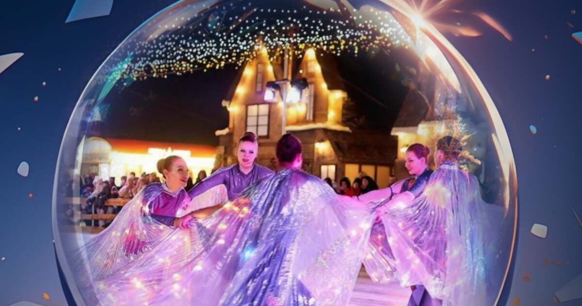 Harry Potter pe patine: spectacol extraordinar la Târgul de Crăciun din ...