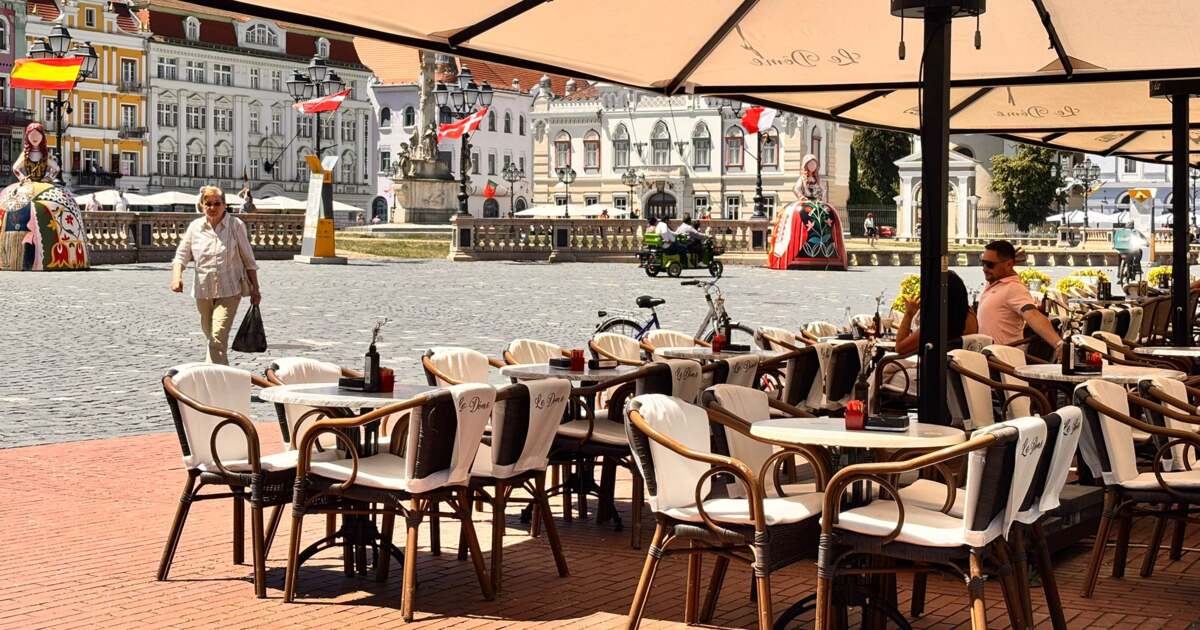 Măsură pentru eficientizarea avizării teraselor din Timișoara. Acordul ...